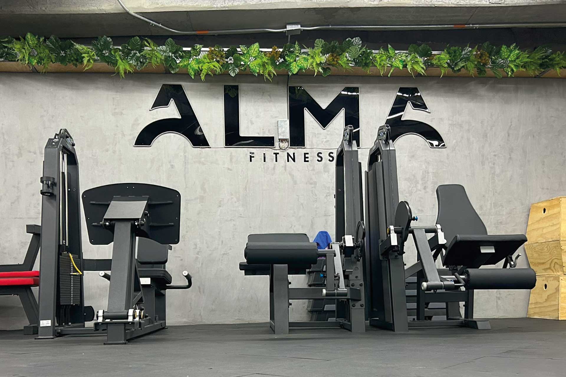Alma fitness – Distrito Avignon